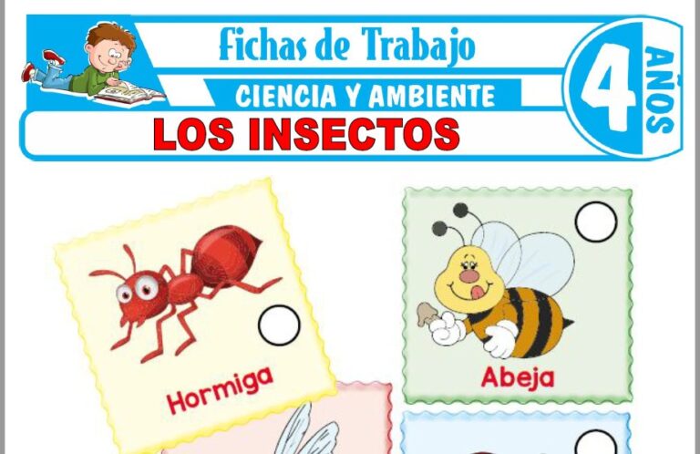 Los insectos para Niños de Cuatro Años – Fichas de Trabajo